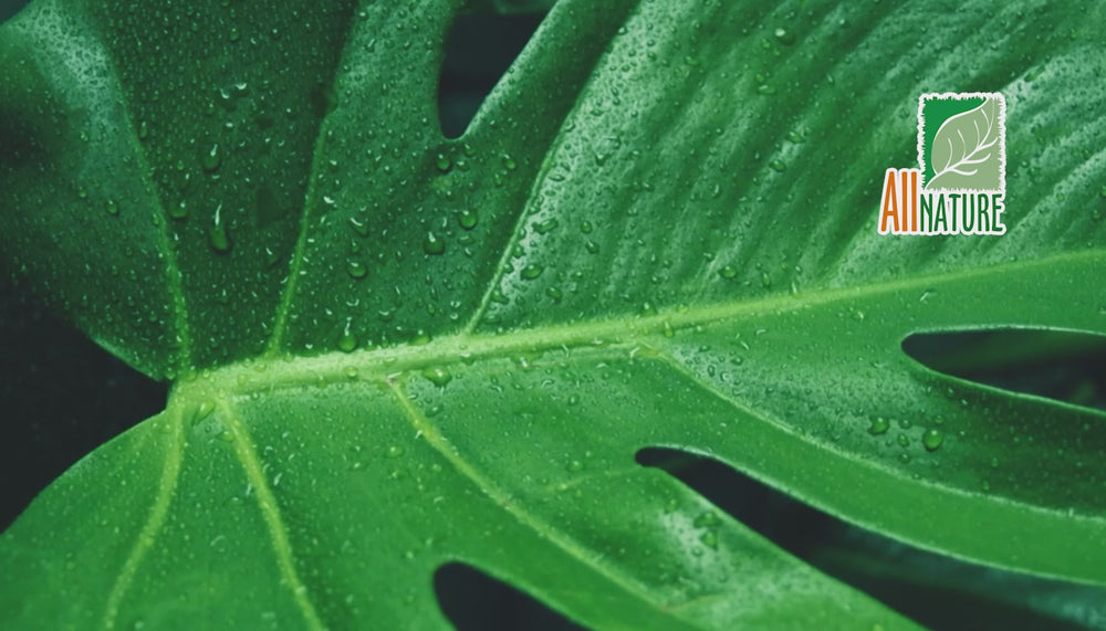 All Nature | Conecta con la Vida – All Nature México